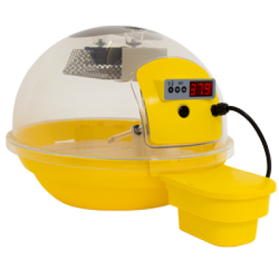 egg incubators uk