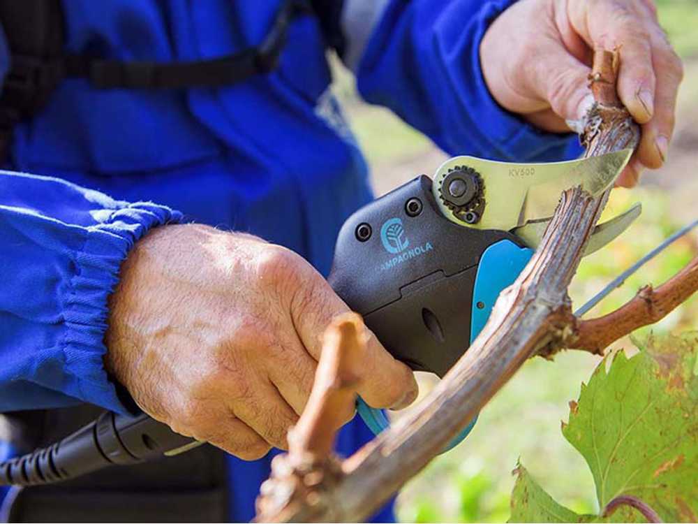 Electric hand pruning shears store