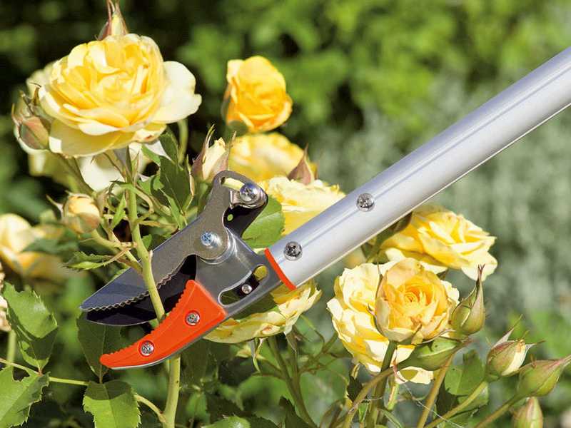 Stocker Art. 600 Cut and Hold Shears best deal on AgriEuro