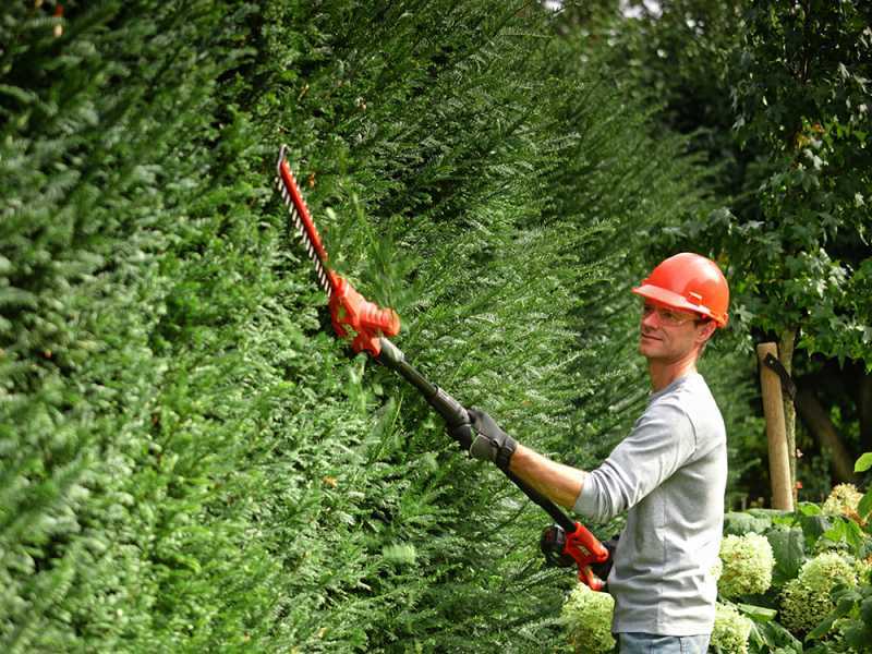Skil 0640 CA Hedge trimmer on pole No battery best deal on AgriEuro