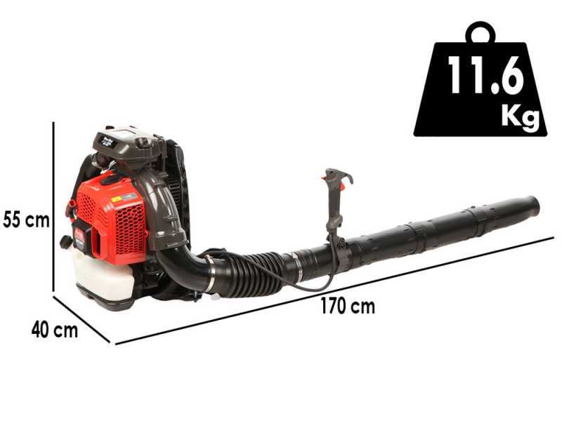 Blue Bird BBL 801 - Petrol blower , best deal on AgriEuro