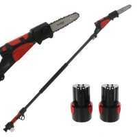 BlueBird PCS 22-06 Battery-powered Pruner on Pole , best deal on AgriEuro