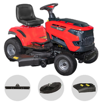 Blue Bird TR SL 98H - Lawn tractor mower , best deal on AgriEuro
