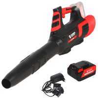 Blue Bird BL 22-300 - Battery-powered leaf blower - 21 V 5 Ah , best ...
