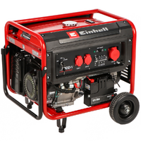Einhell TC-PG 8000 - Power generator , best deal on AgriEuro